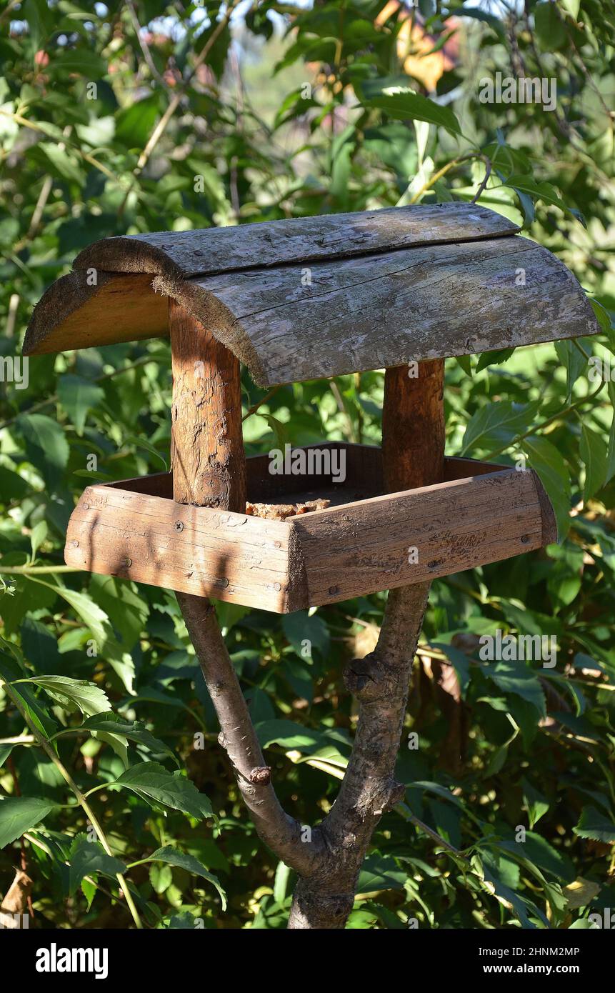 Food and feeder hi-res stock photography and images - Alamy