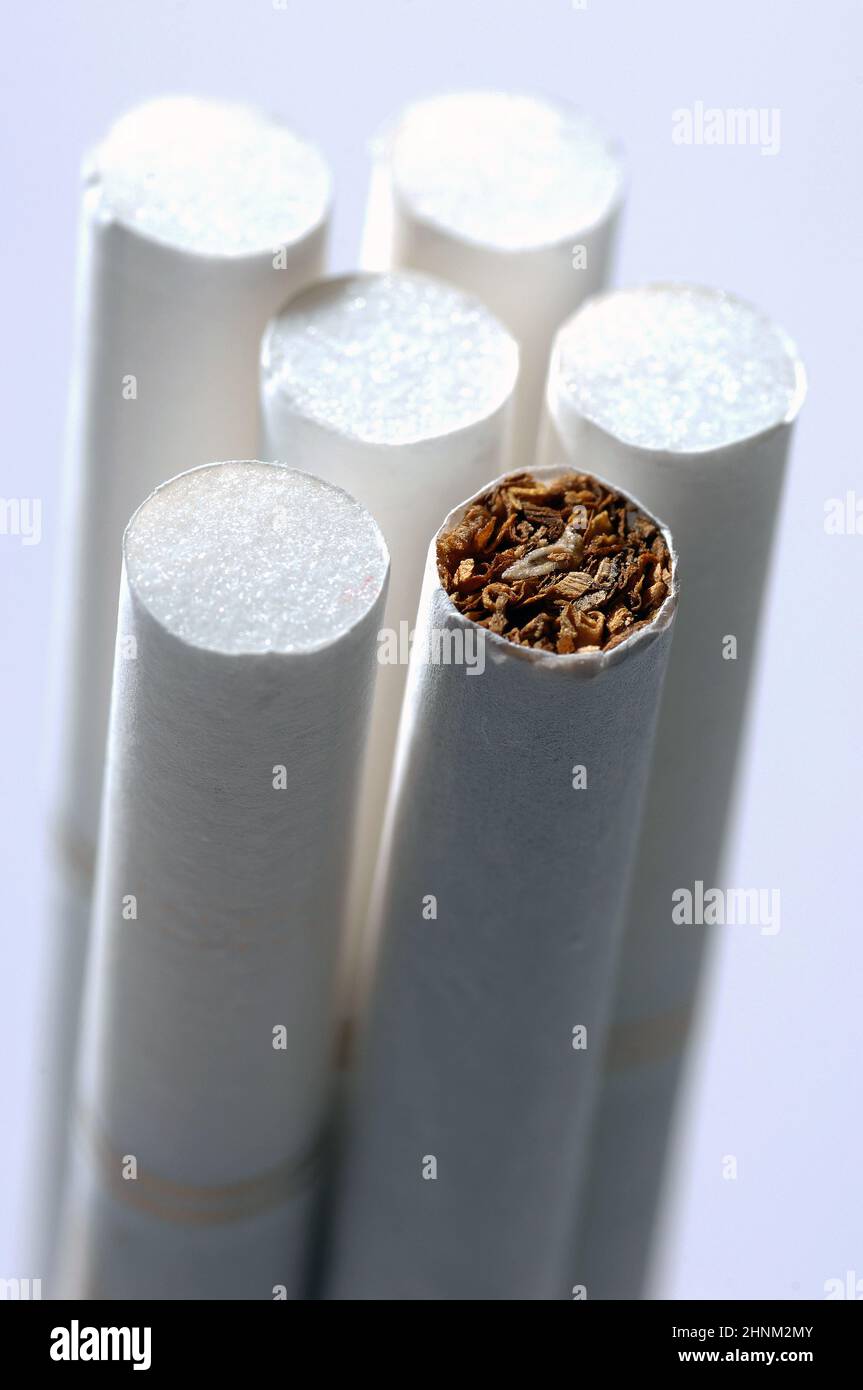different types of cigarettes on a white background Stock Photo - Alamy