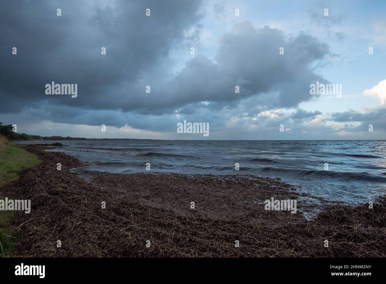 Hurricane sea surge hi-res stock photography and images - Alamy