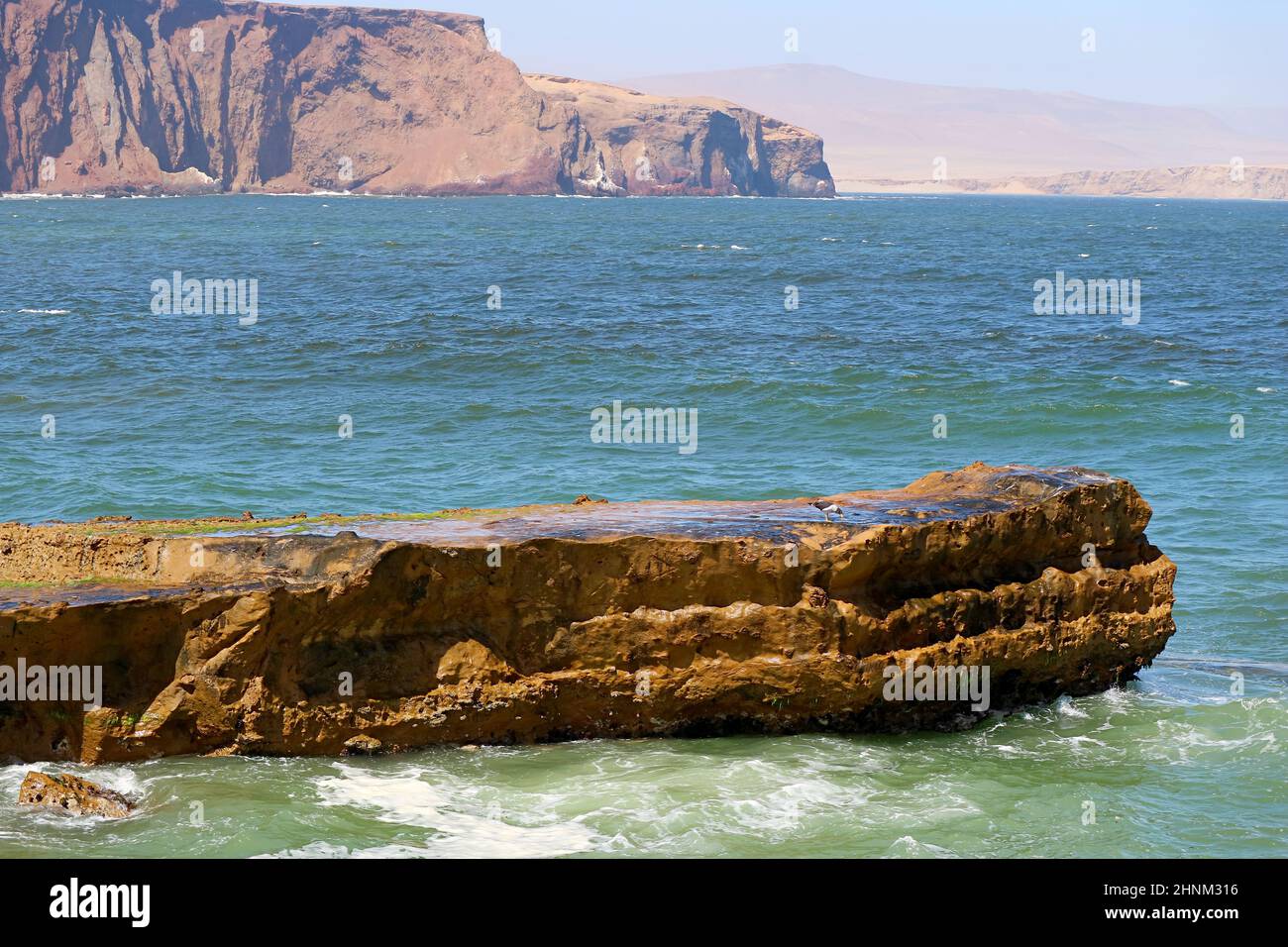The Coastline on Pacific Ocean at the Paracas National Reserve, Where ...