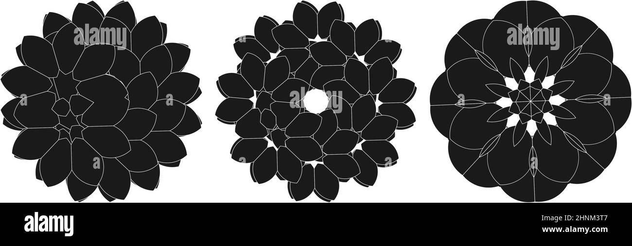 Sacred geometry lotus, floral, flower motif, icon. Geometric circular ...