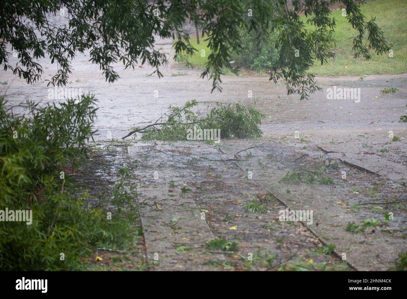 Wet cement driveway hi-res stock photography and images - Alamy