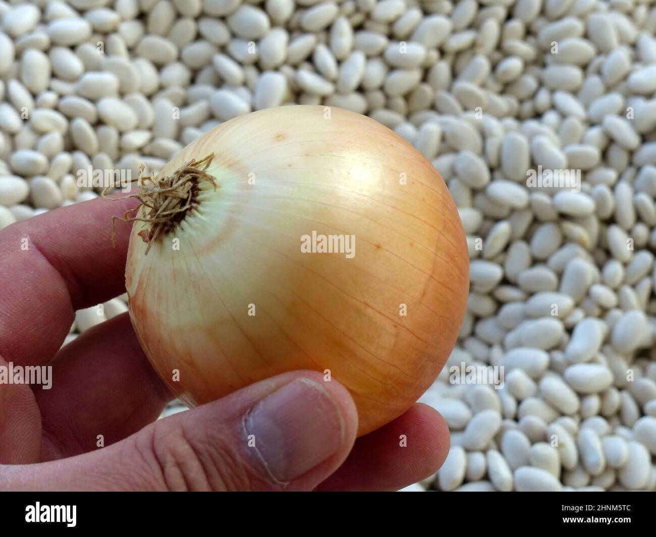 Onion white beans dry onions hi-res stock photography and images - Alamy