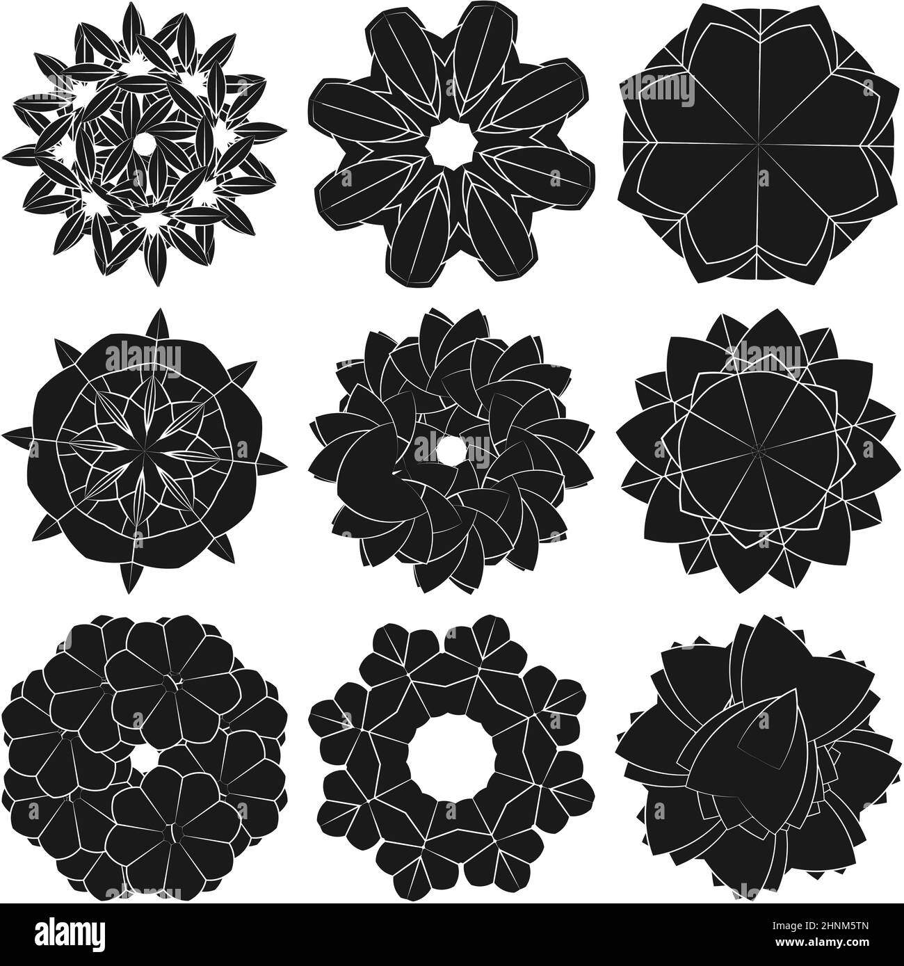 White lotus series Stock Vector Images - Alamy