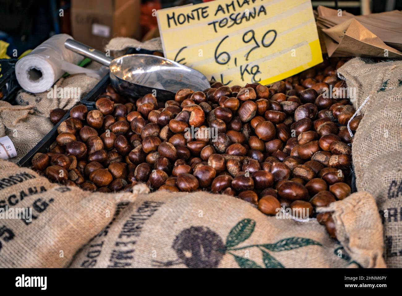Harvest sweet edible chestnuts hi-res stock photography and images - Alamy