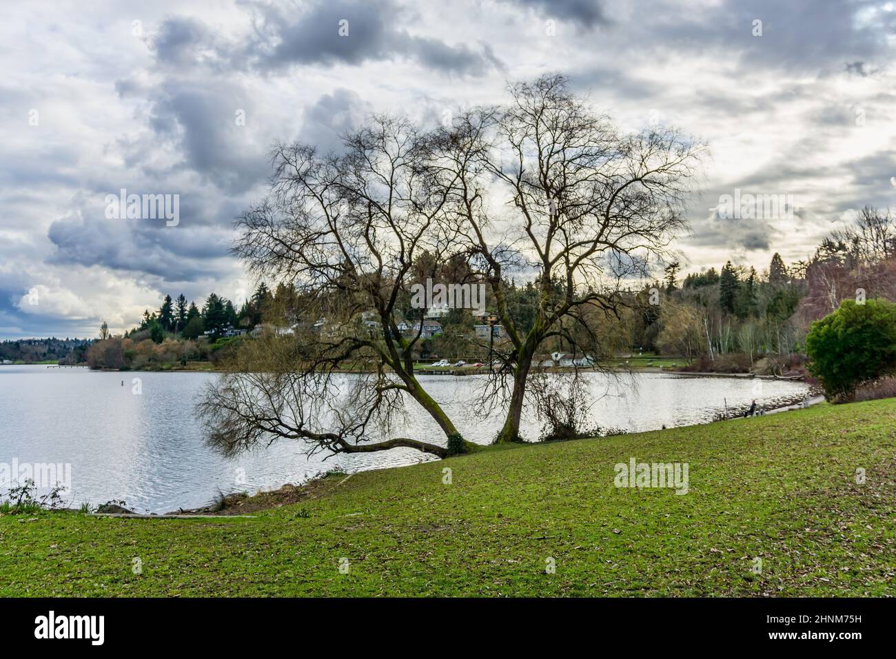 A view of the shoreline along Lake Washington in Seattle Stock Photo ...