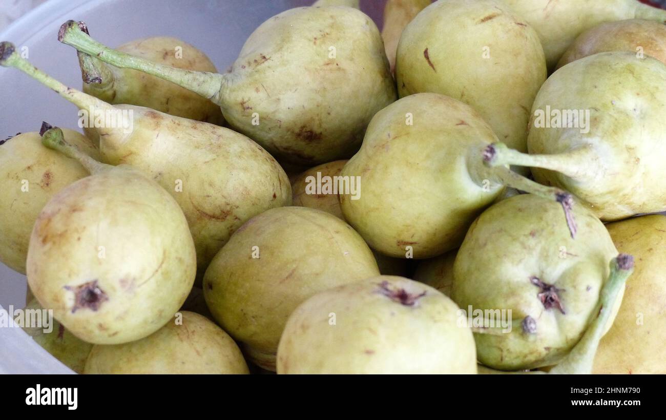 hormone-free and fertilizer-free natural pear, village pear Stock Photo ...