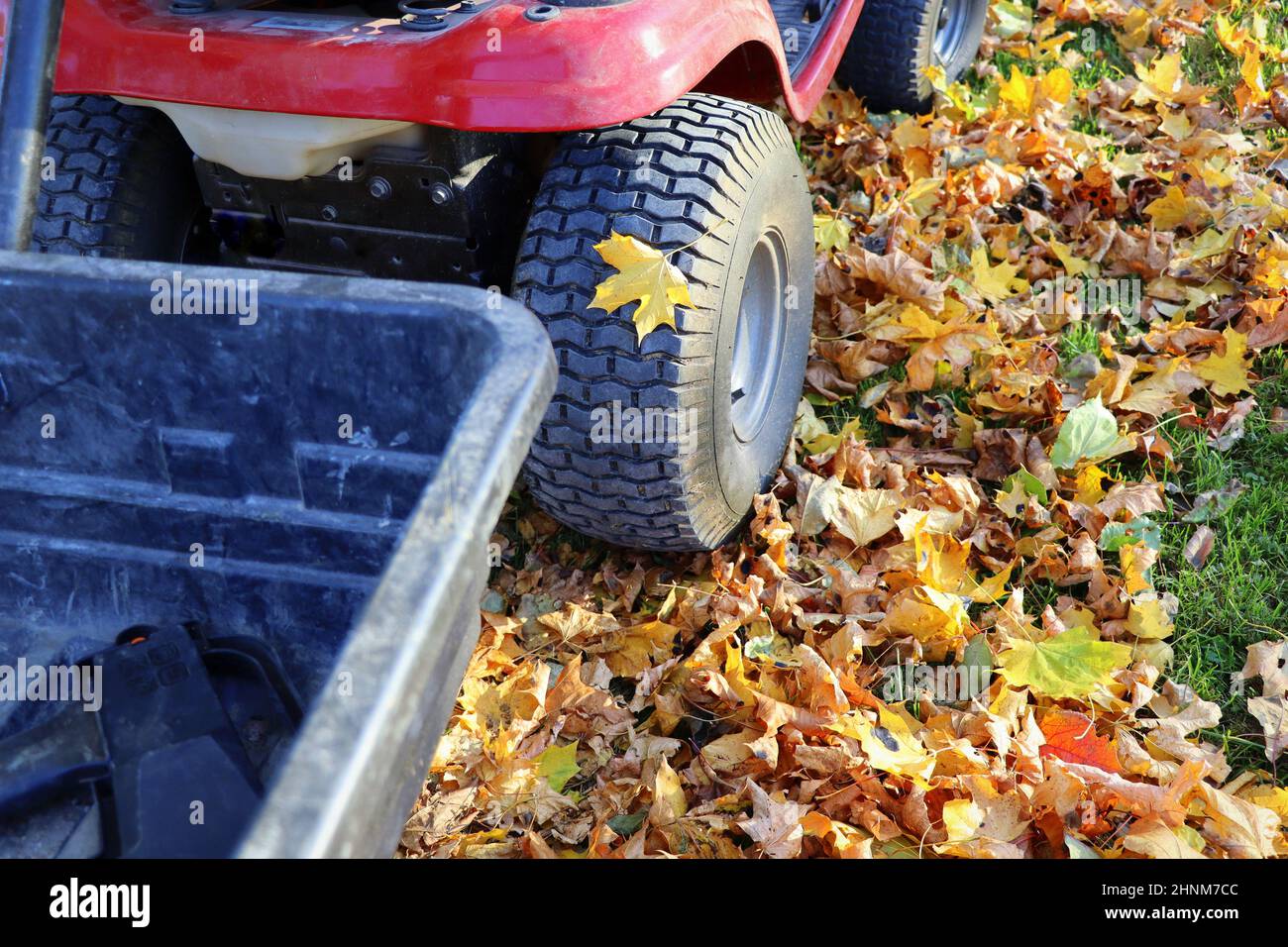 Red riding lawn mower with big container in garden. Concept gardening ...