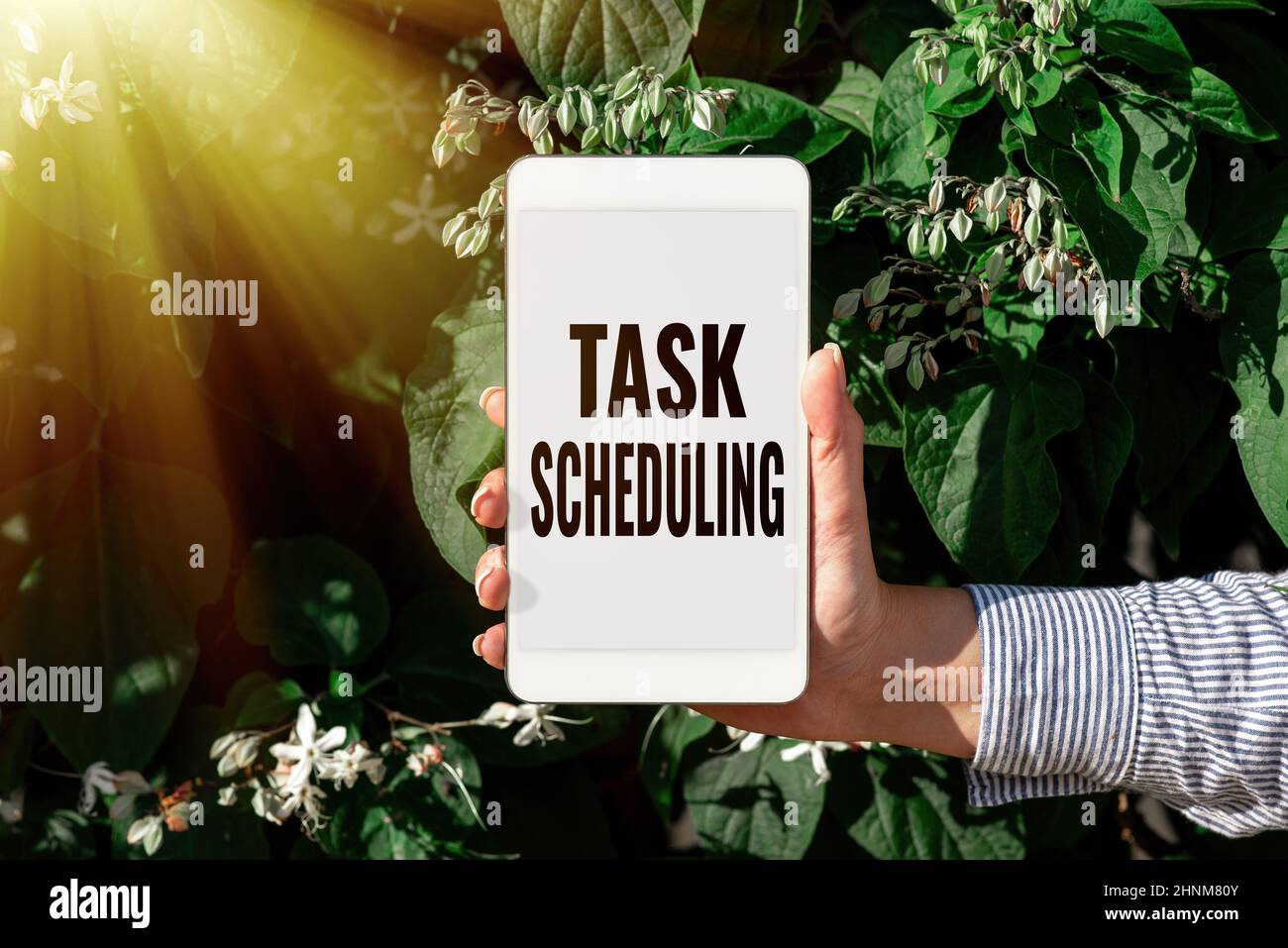 Text Sign Showing Task Scheduling Internet Concept The Assignment Of Start And End Times To A