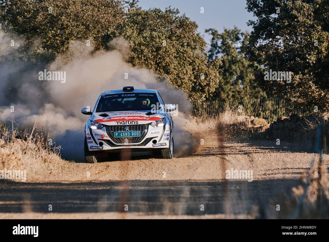 World endurance championship 2021 hi-res stock photography and images ...