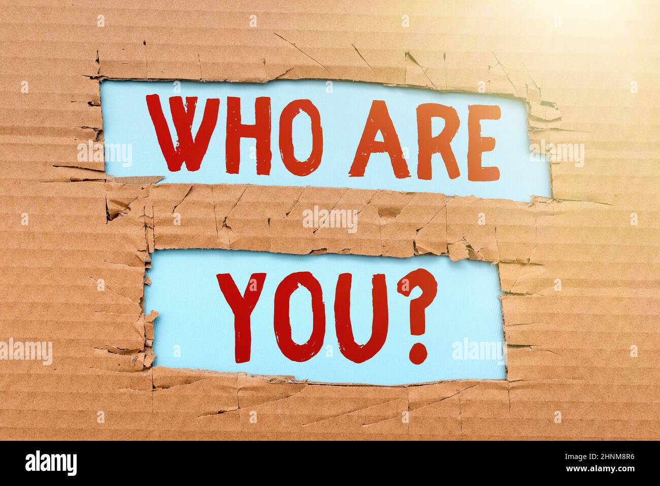 Inspiration showing sign Who Are You question, Business idea asking ...