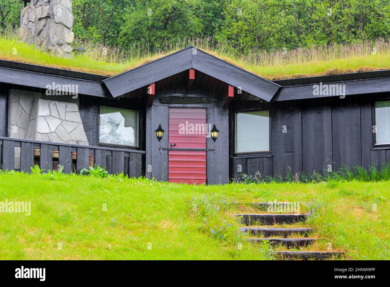 Black wooden cabin hut with overgrown roof in Hemsedal, Norway Stock ...