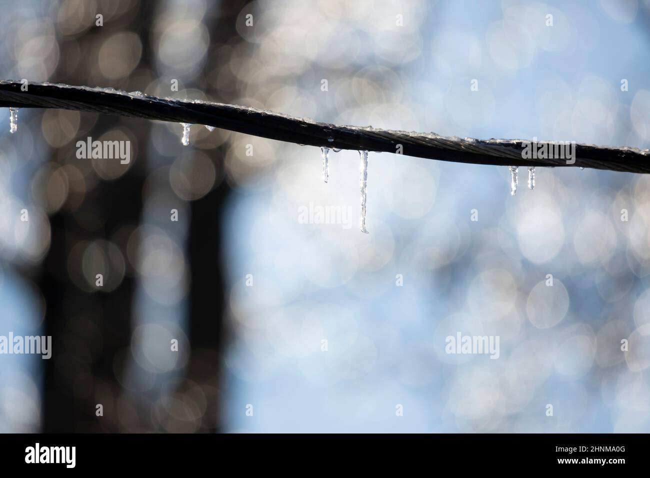 Ice covering a powerline in front of a tree on a pretty blue day Stock ...