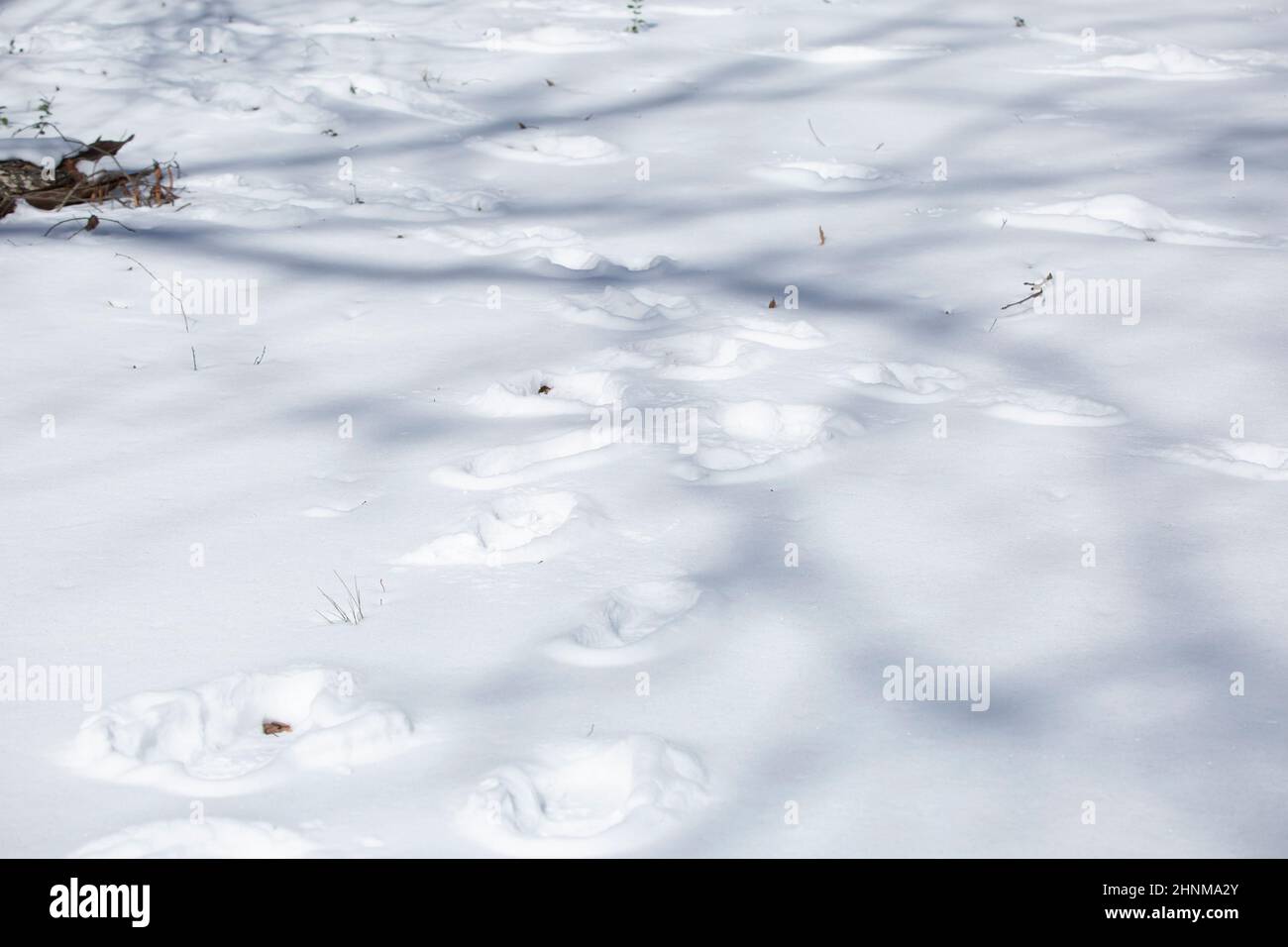 Multiple paths hi-res stock photography and images - Alamy