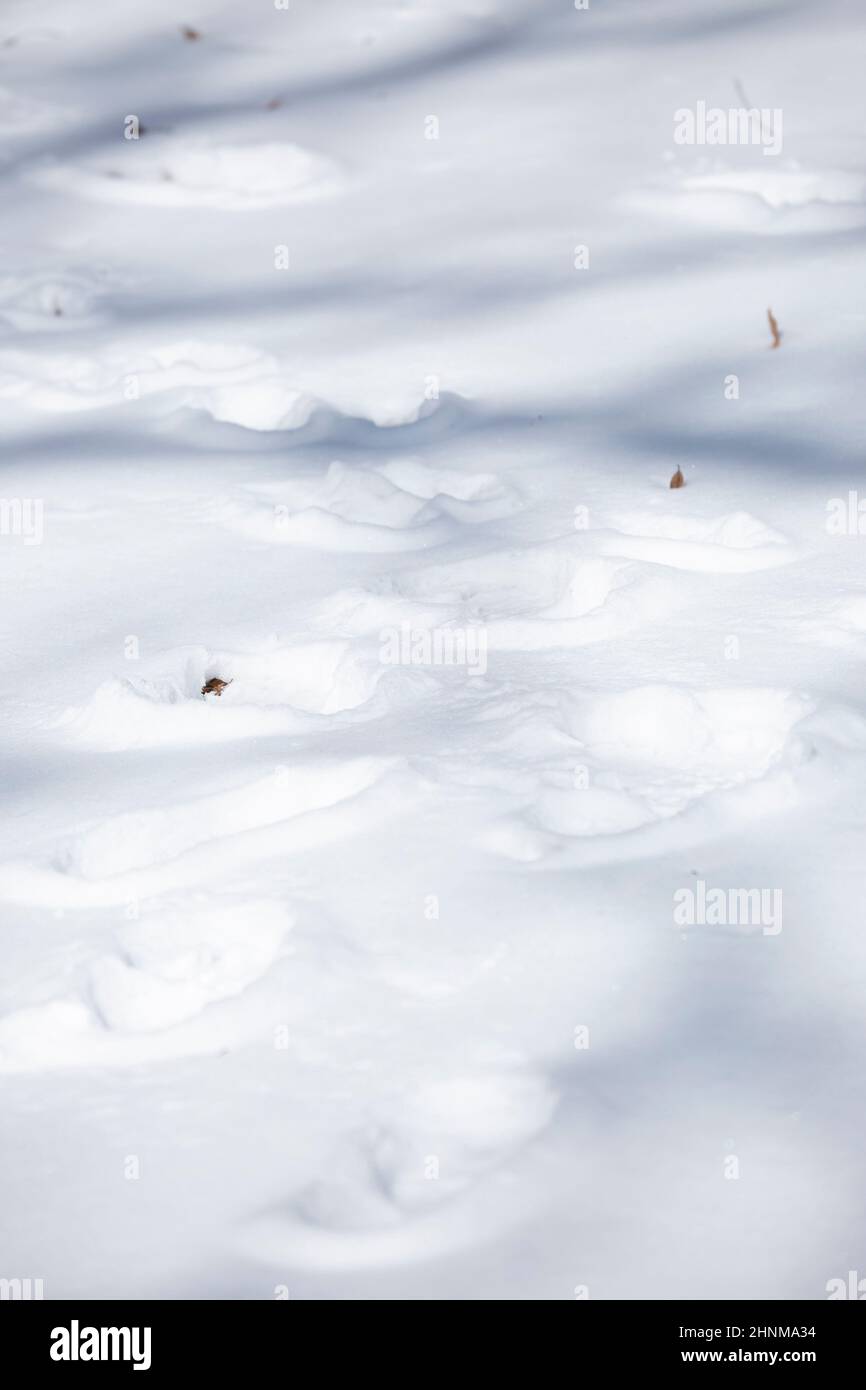 Multiple paths hi-res stock photography and images - Alamy