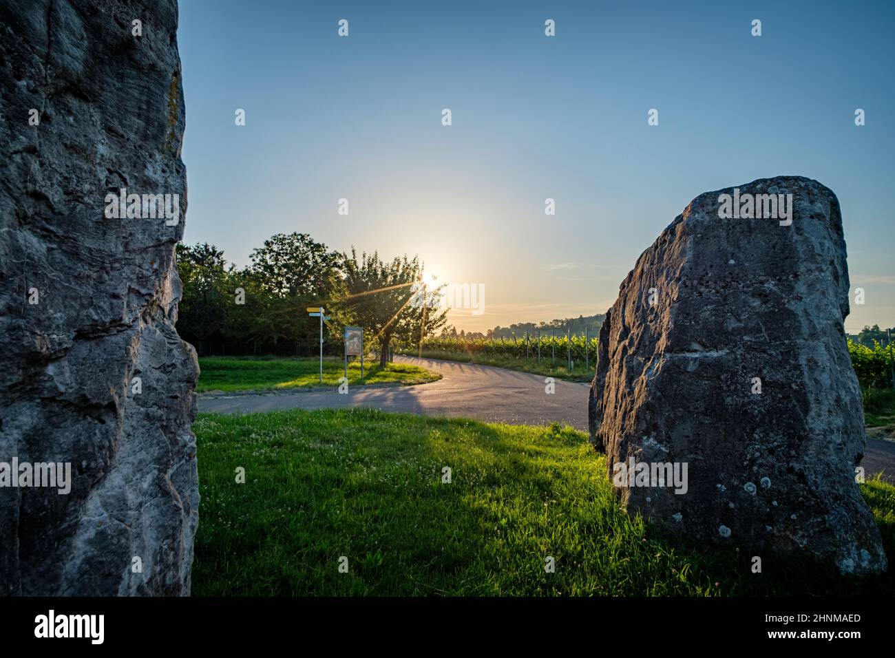 Rock vineyard hi-res stock photography and images - Alamy