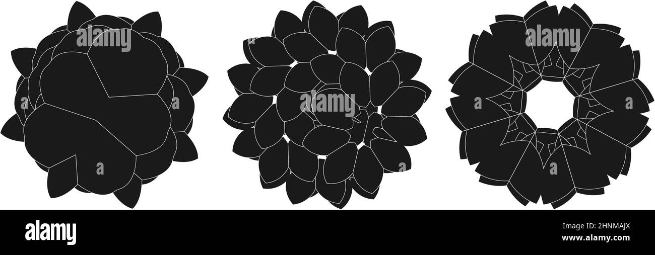 Sacred geometry lotus, floral, flower motif, icon. Geometric circular ...