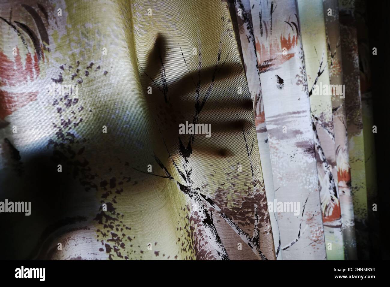 A creepy hand behind a curtain. The hand of a burglar through an open ...