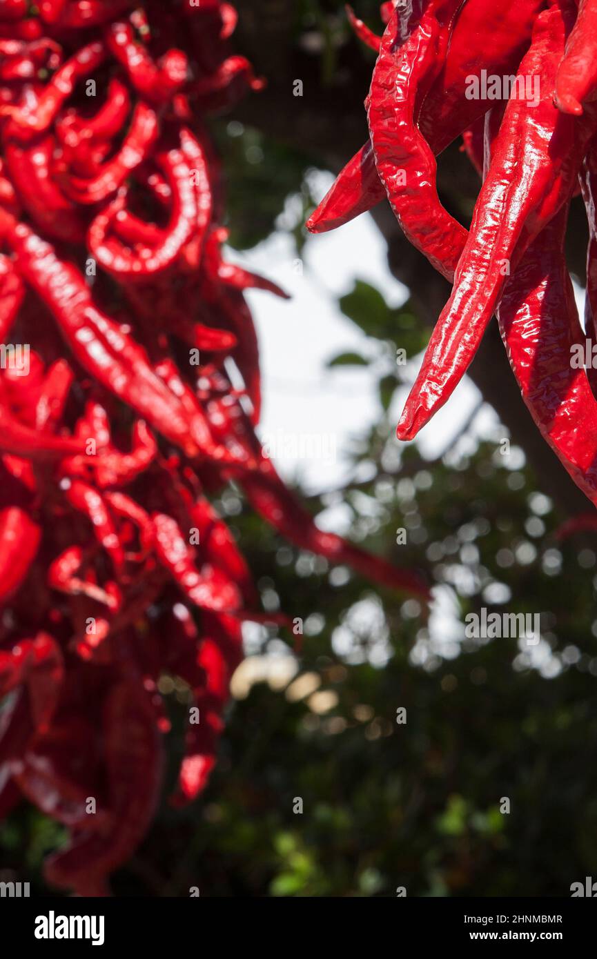 Ristra de guindas hi-res stock photography and images - Alamy