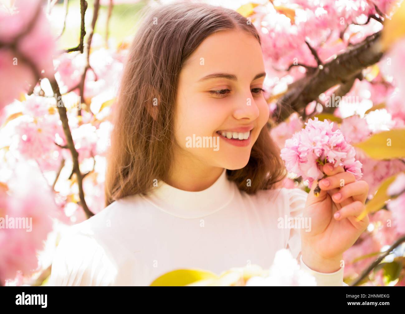 Child and sakura hi-res stock photography and images - Alamy