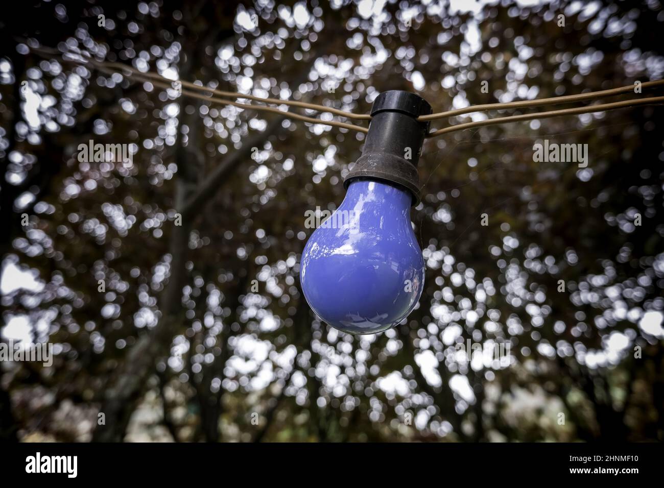 Detail of colorful painted electric light bulb, lighting and decoration ...
