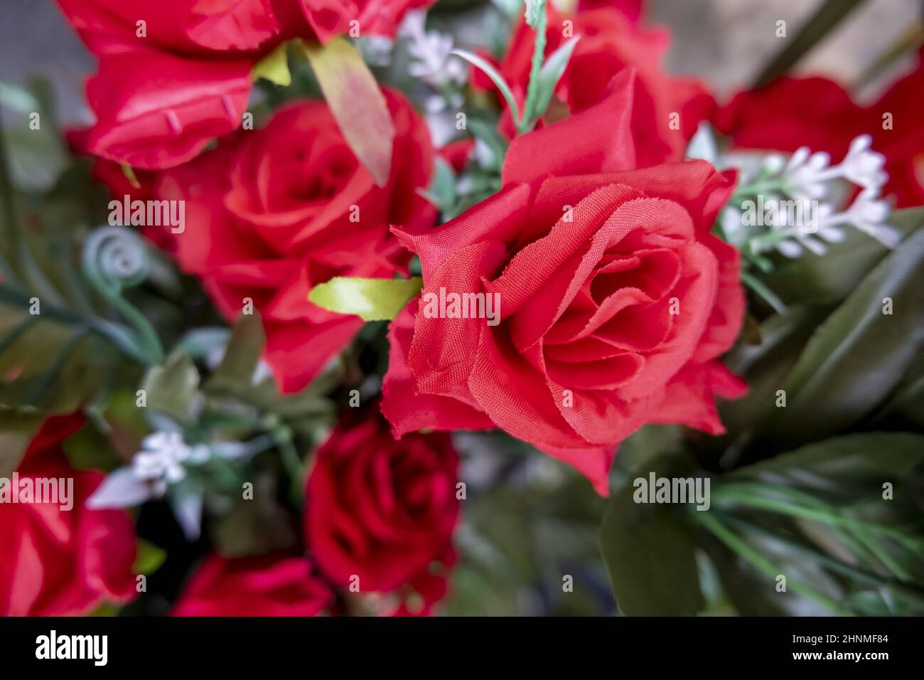 Detail of reminder flowers in a cemetery, memorial tribute Stock Photo ...
