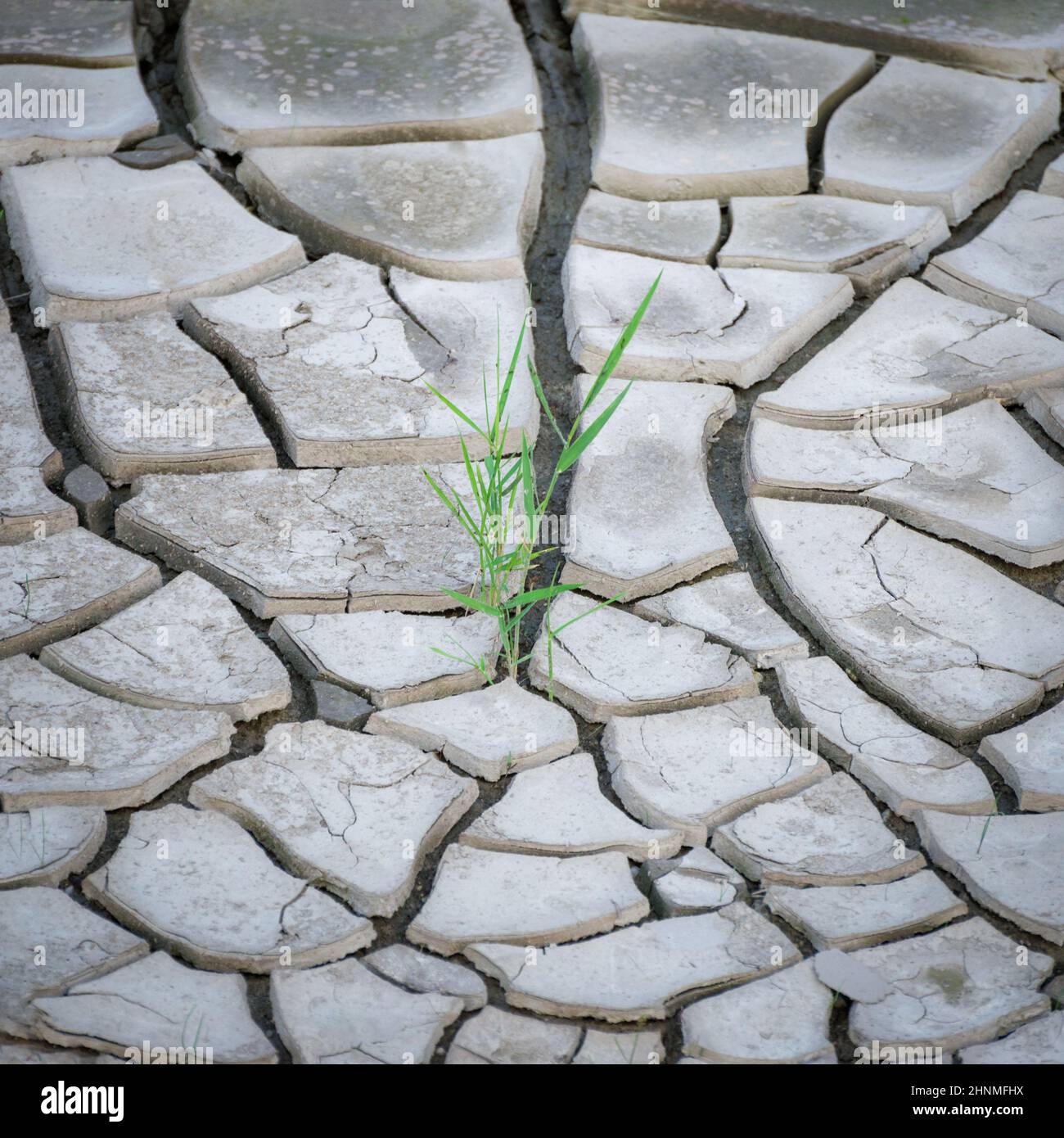 Texture of dry cracked soil Stock Photo - Alamy
