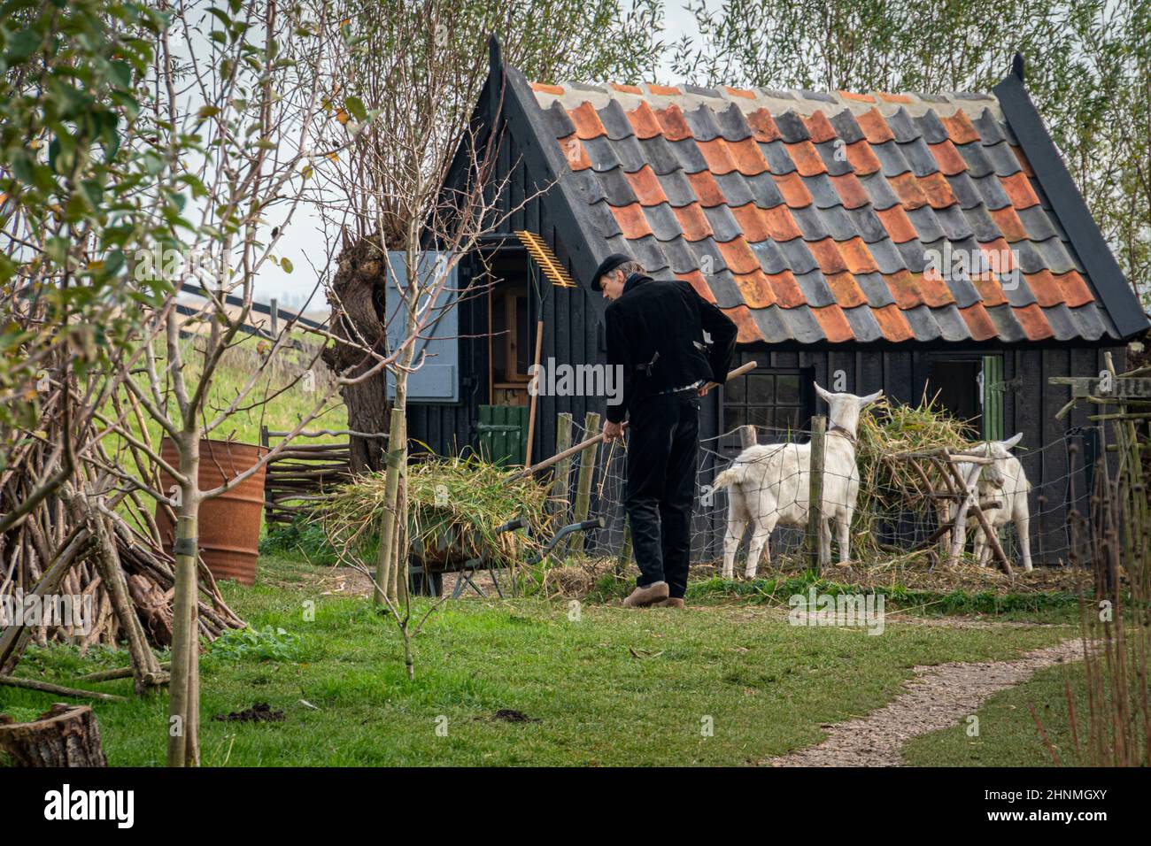 Dutch farm scene hi-res stock photography and images - Alamy