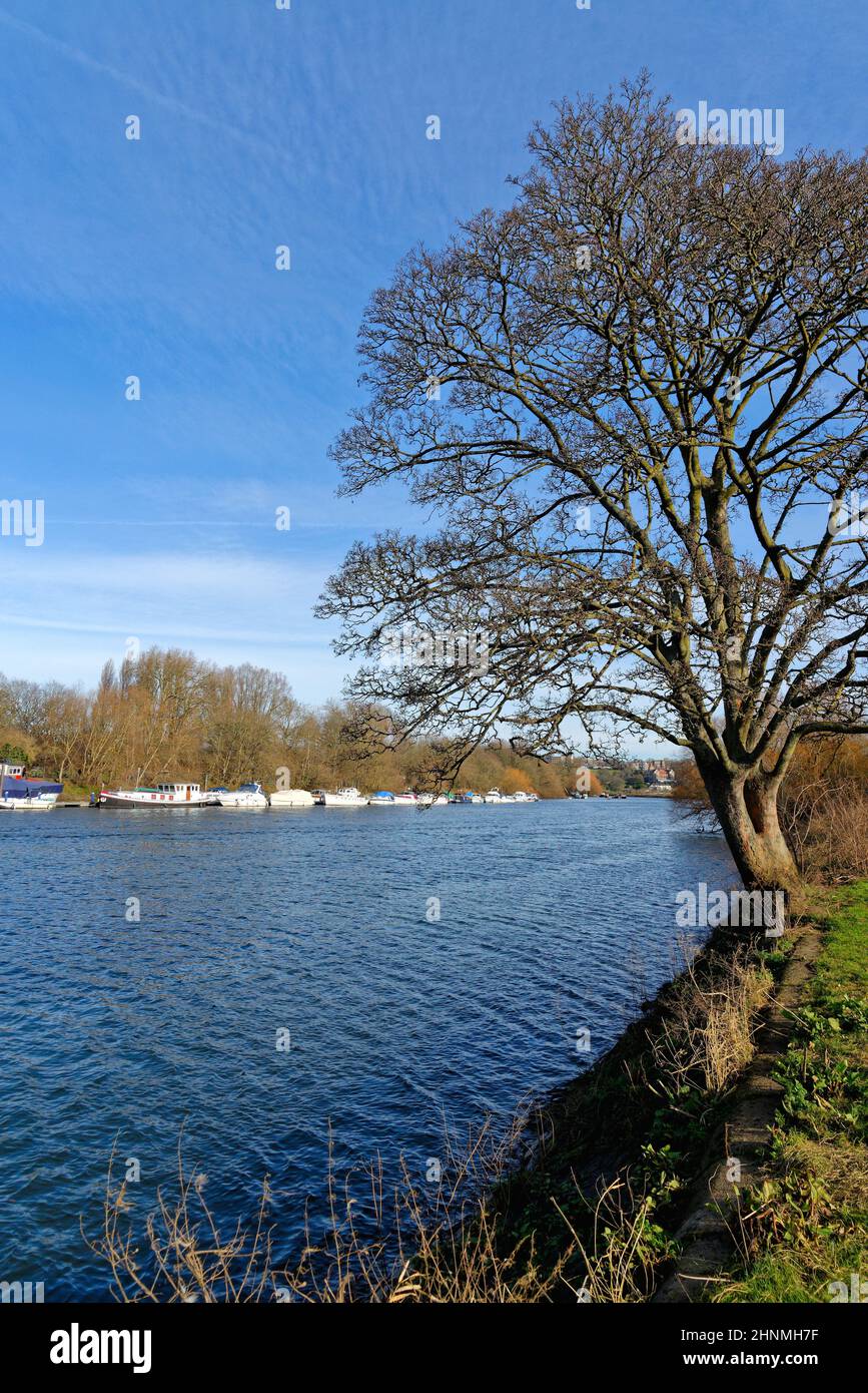 The River Thames at Ham looking towards Richmond Hill on a sunny ...