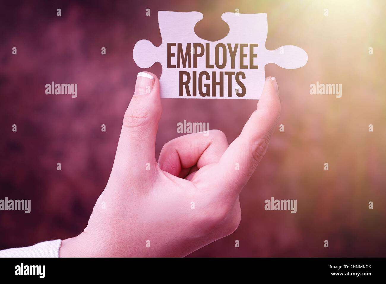 Sign displaying Employee Rights, Internet Concept All employees have ...