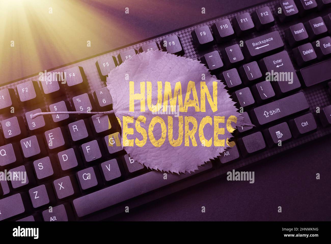 Human resource generalist hi-res stock photography and images - Alamy