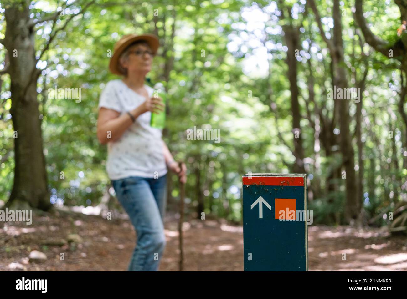 Signpost on a path in a sunny forest with senior lady drinking water ...