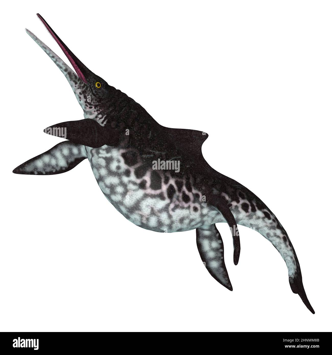 Shonisaurus was a carnivorous marine Ichthyosaur that lived in the seas ...