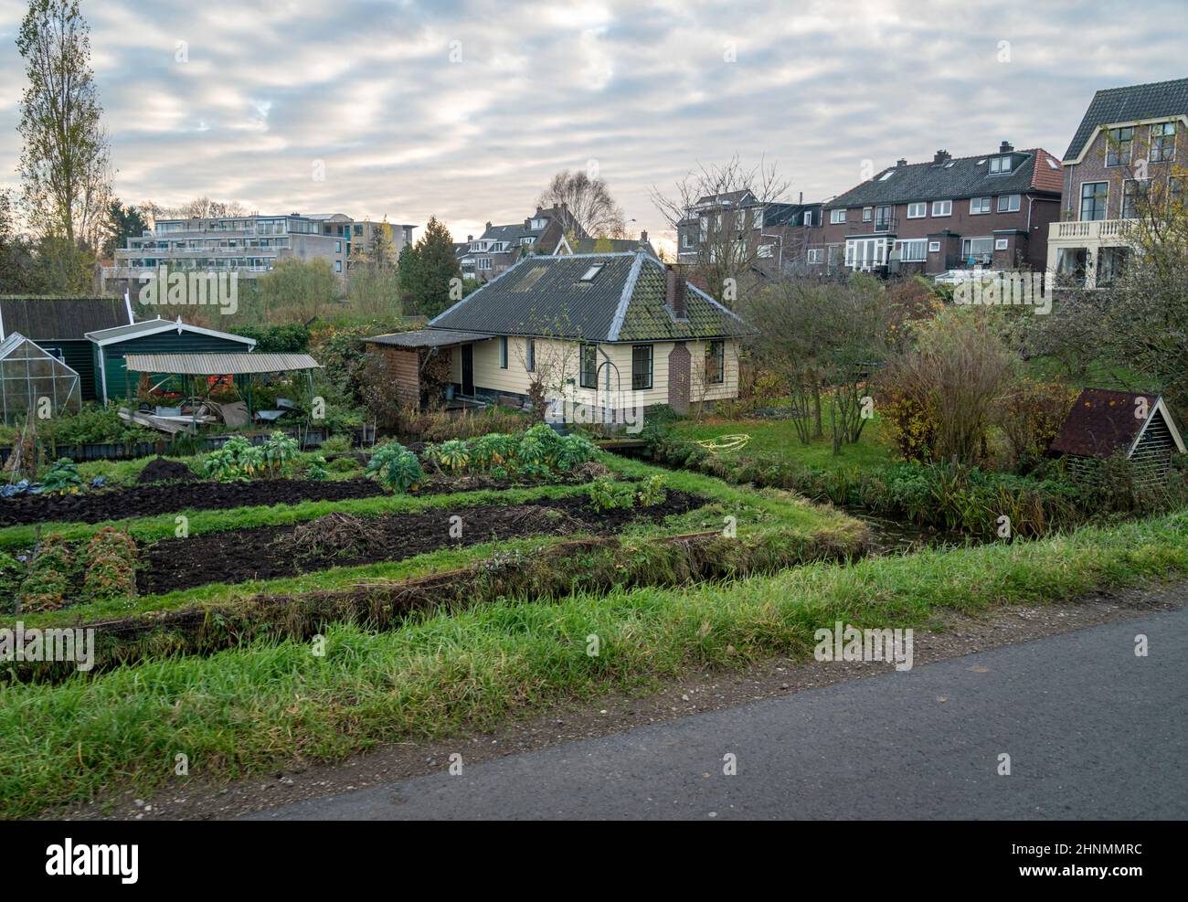 Allotment agriculture hi-res stock photography and images - Alamy