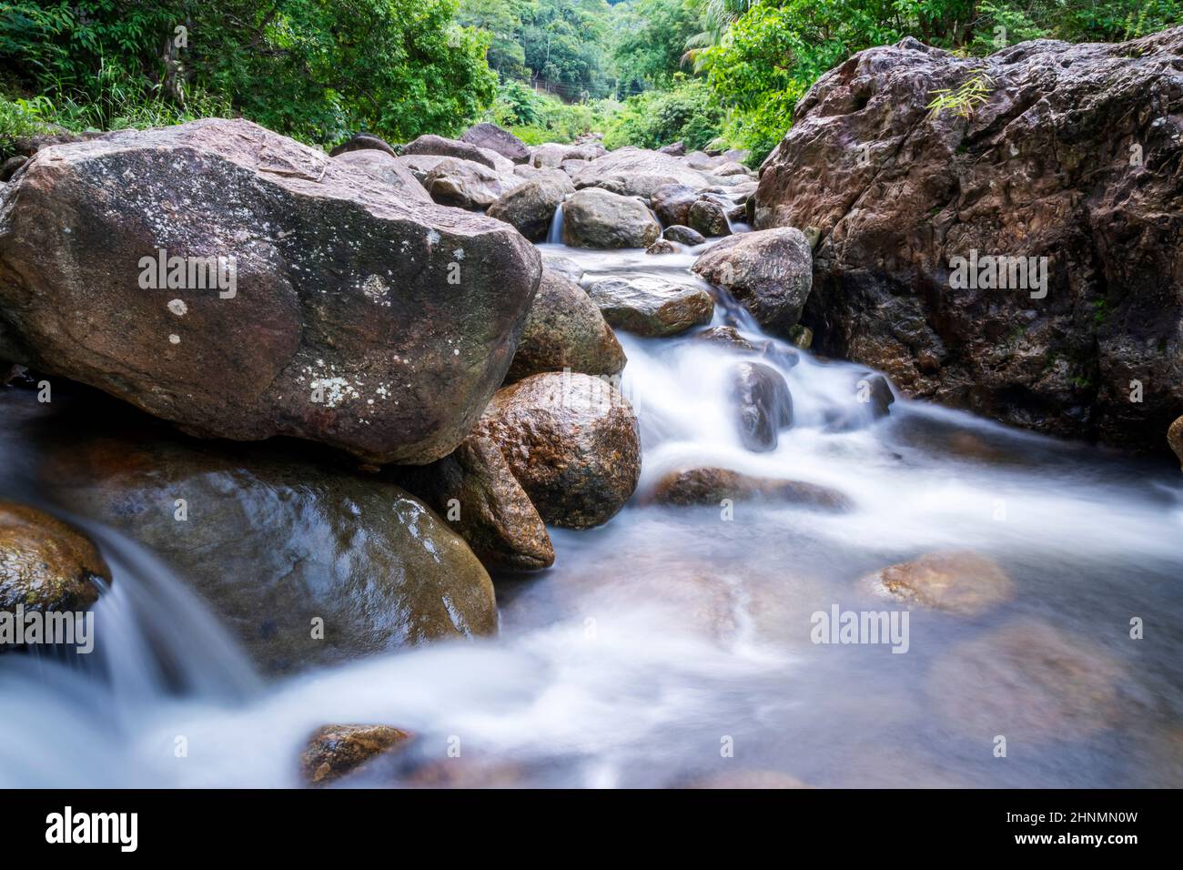 River stone and green tree, View water river tree, Stone river green ...