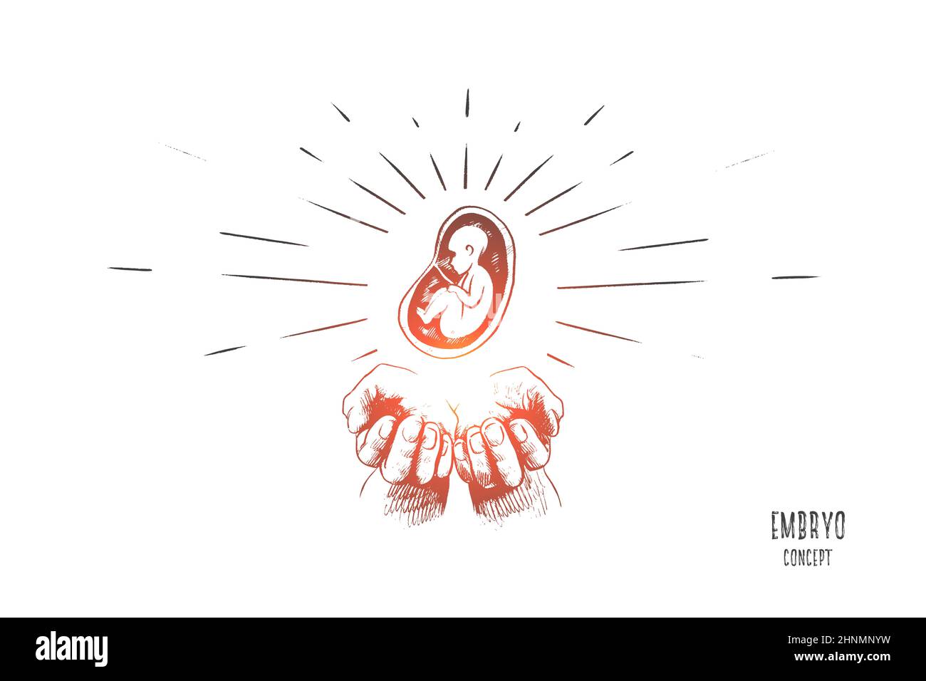 Embryo concept. Hand drawn hands with embryo. Symbol of protection of ...