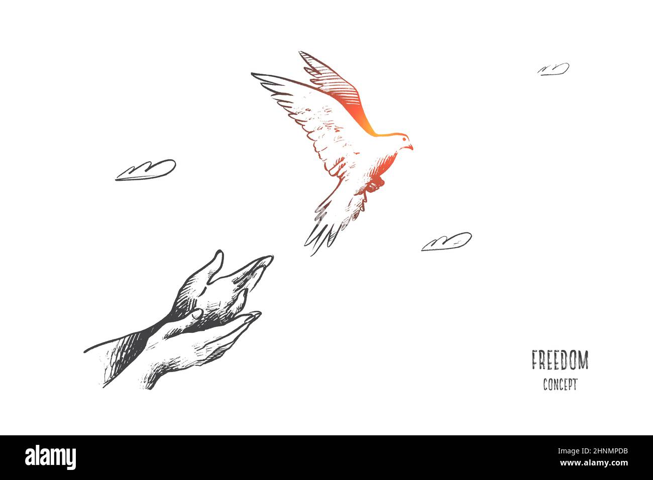 Freedom concept. Hand drawn pigeon flying out of two hands. Freedom of ...