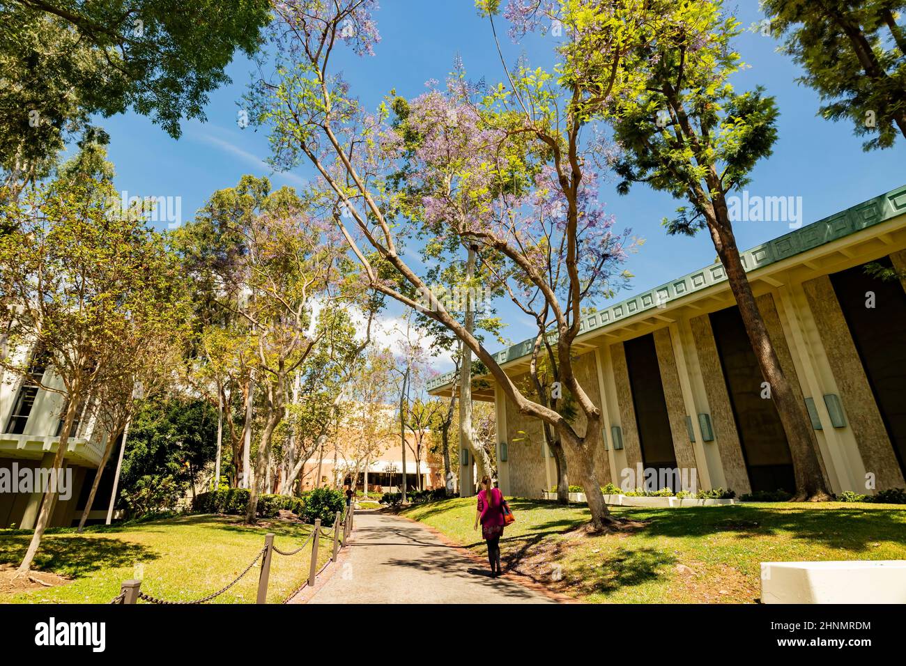 Sunny view of the campus of the University of Southern California at ...