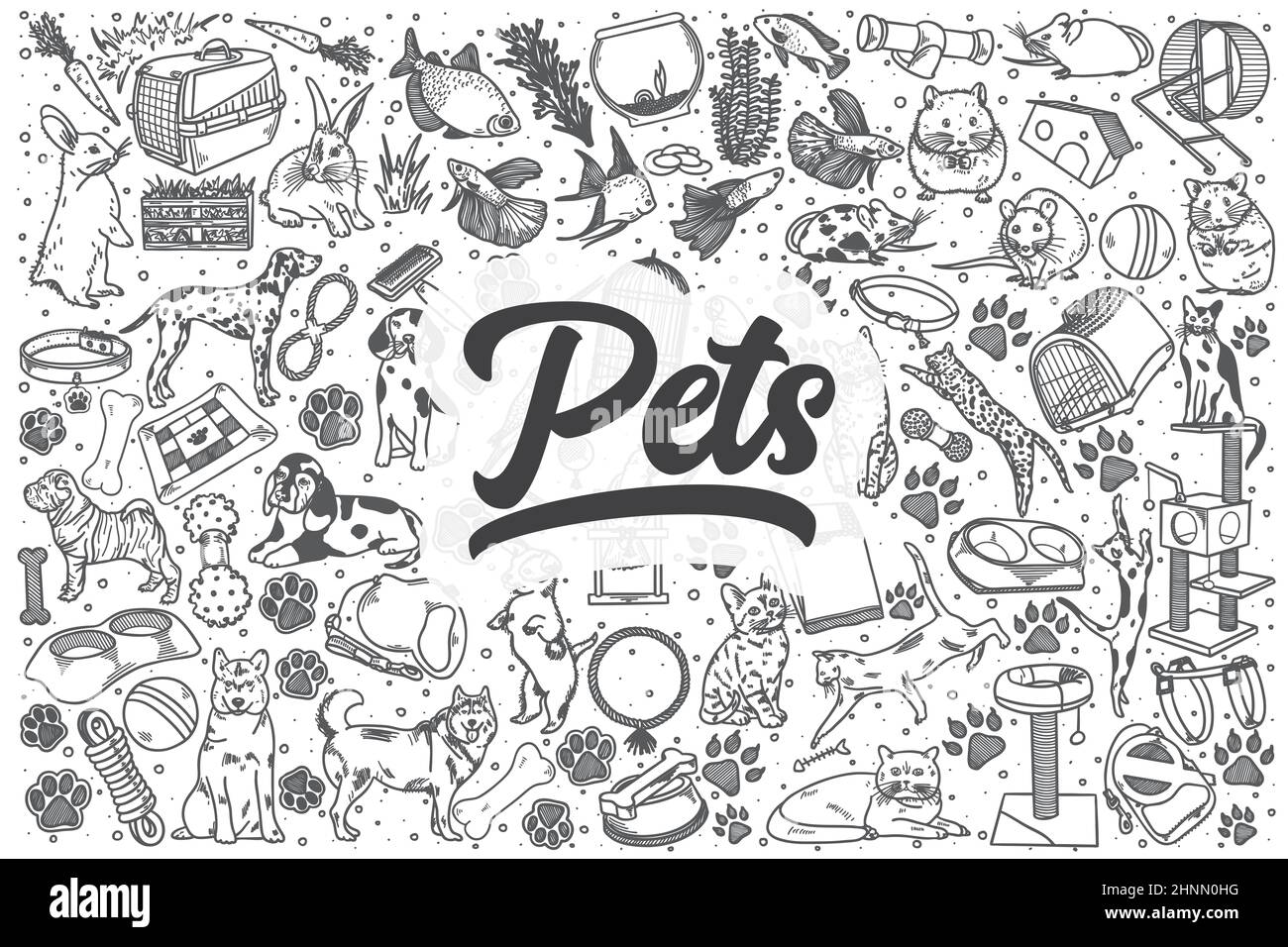 Hand drawn pets doodle set. Lettering - Pets Stock Photo - Alamy