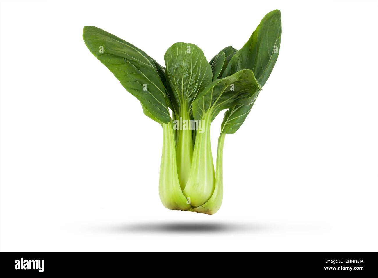 Pak choi (shanghai bok choy) chinese vegetable isloated on a white ...