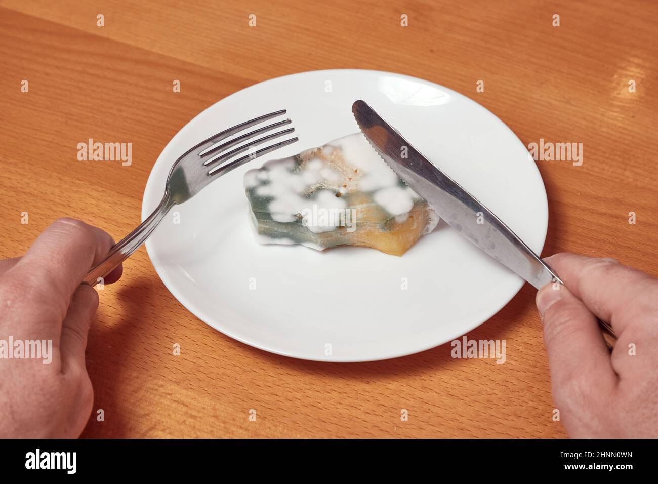 Mould growing on plate hi-res stock photography and images - Alamy