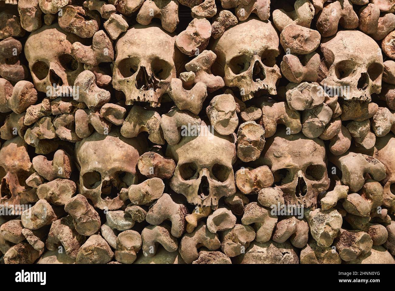 Many scary human skulls hi-res stock photography and images - Alamy