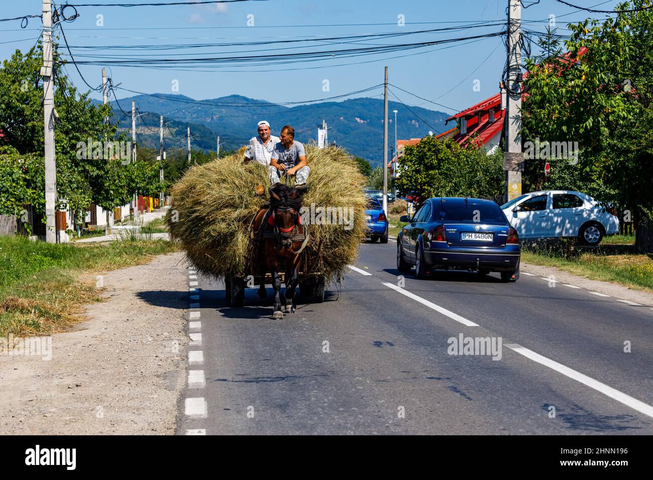 Farmer at hay harvest with horse carriage in Oberkerz in Romania ...