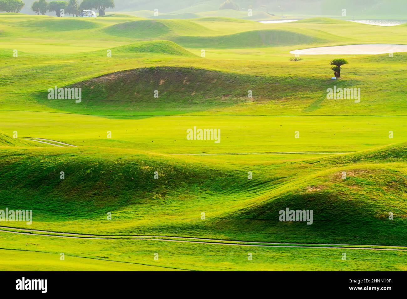 The beautiful green view of green grass and sand banker on golf course ...