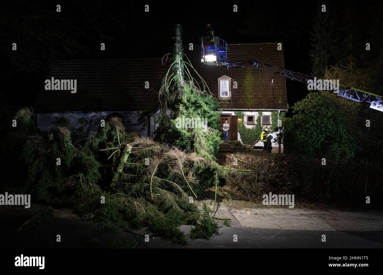 Bielefeld, Germany. 17th Feb, 2022. A partially broken tree is removed ...