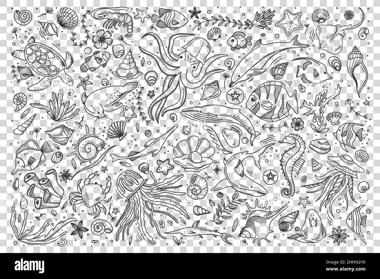 Cartoon sea turtles Black and White Stock Photos & Images - Alamy