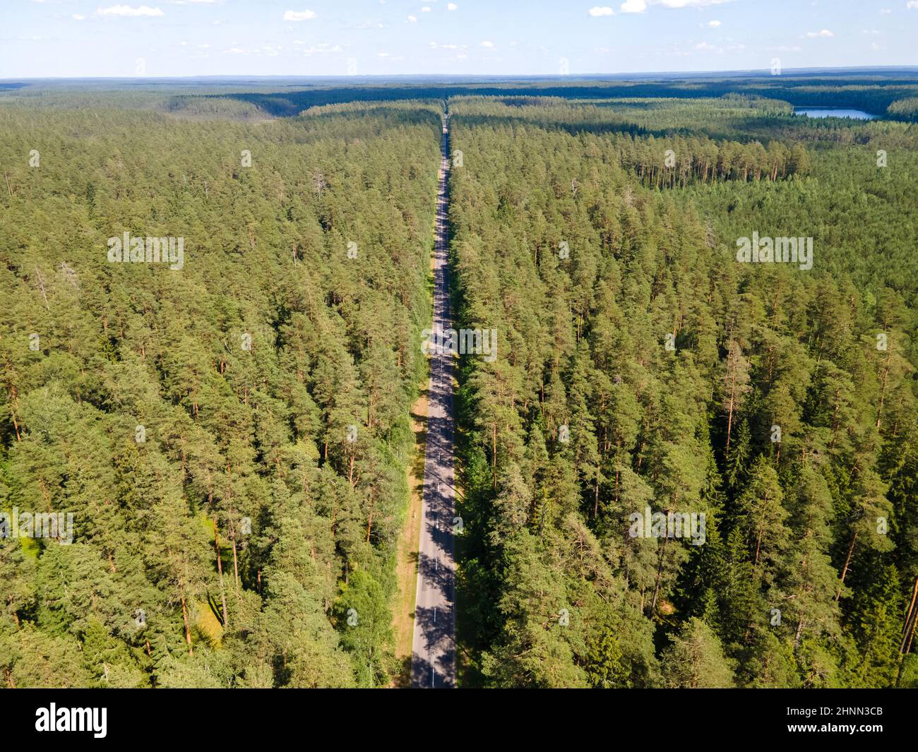 Woodland park forest aerial view hi-res stock photography and images ...