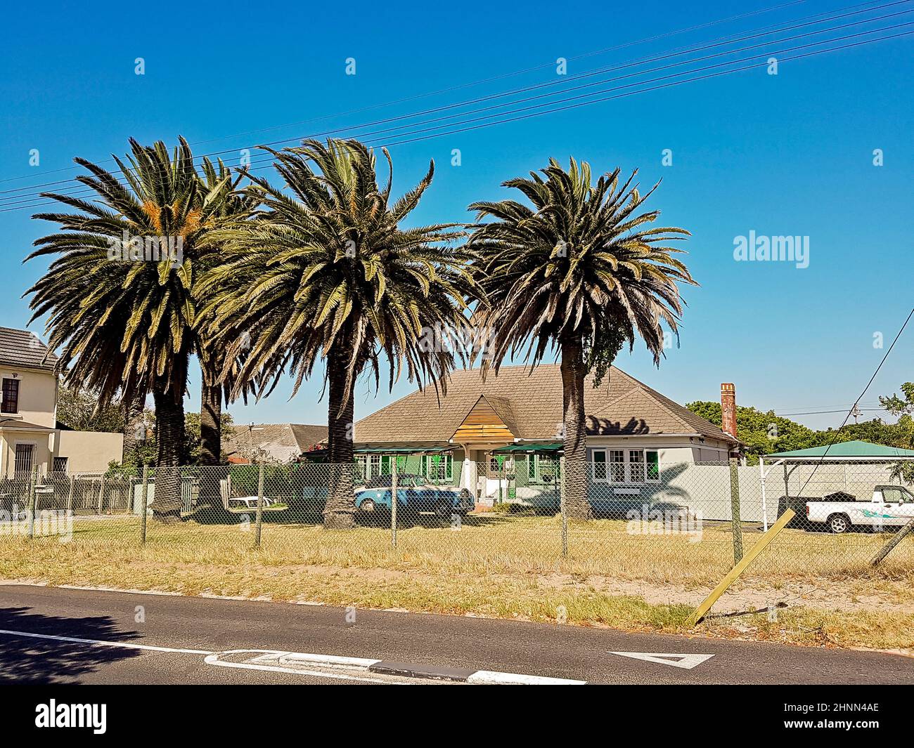 Cape Town Palm Trees High Resolution Stock Photography and Images - Alamy