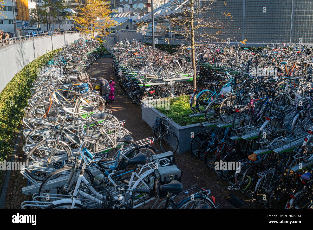 Bicycle Park, Rotterdam, Netherlands Stock Photo - Alamy