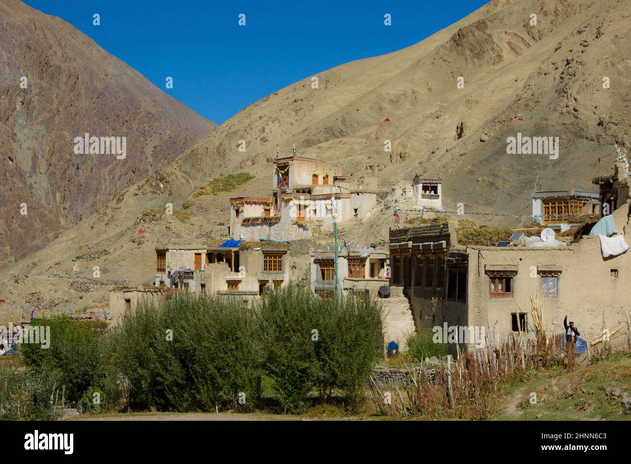 Ladakh agriculture hi-res stock photography and images - Alamy